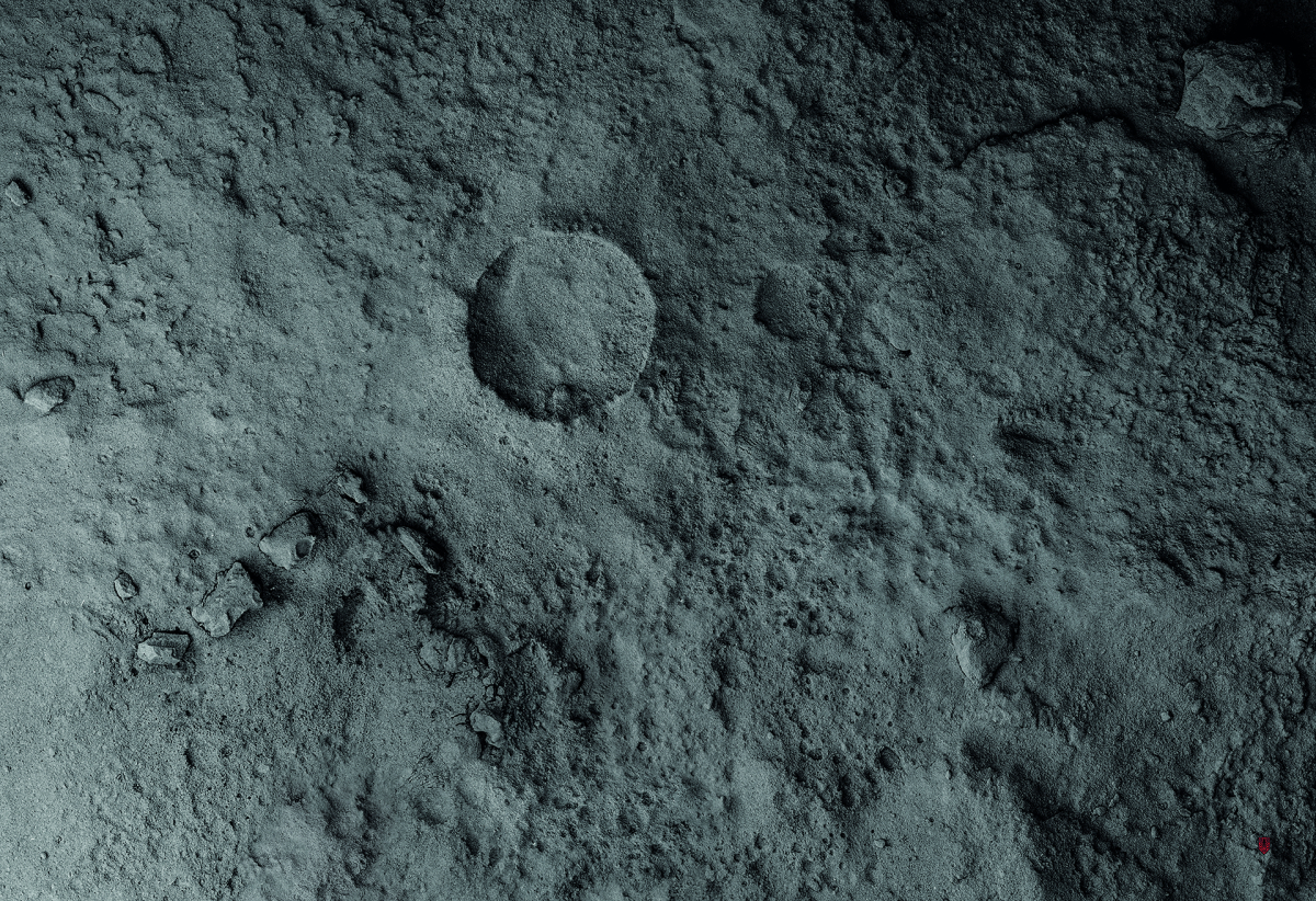 Ashen Moon 44"x30" by Kraken