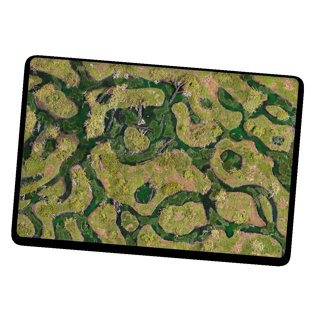 Forsaken Swamp 6x4 by Kraken